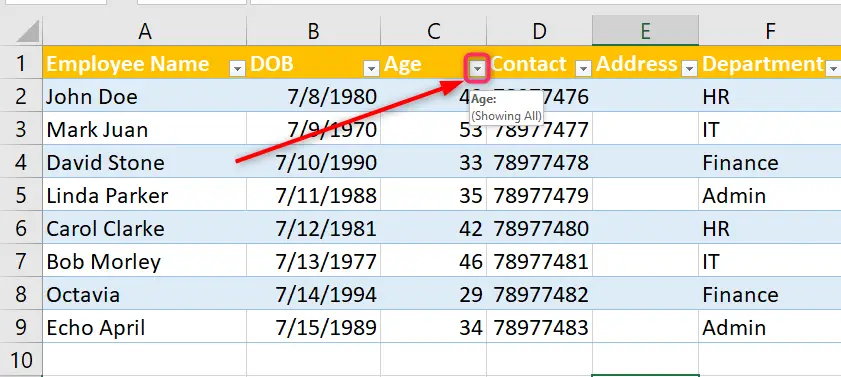 How to create Employee Database in Excel: Easy Guide - Excel Wizard